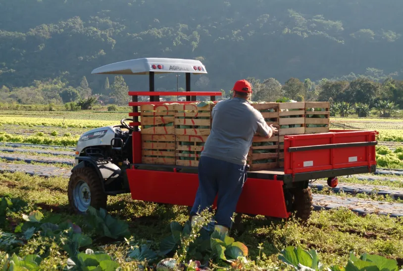 TRATOR AGRALE 4230.4 CARGO | Agro22